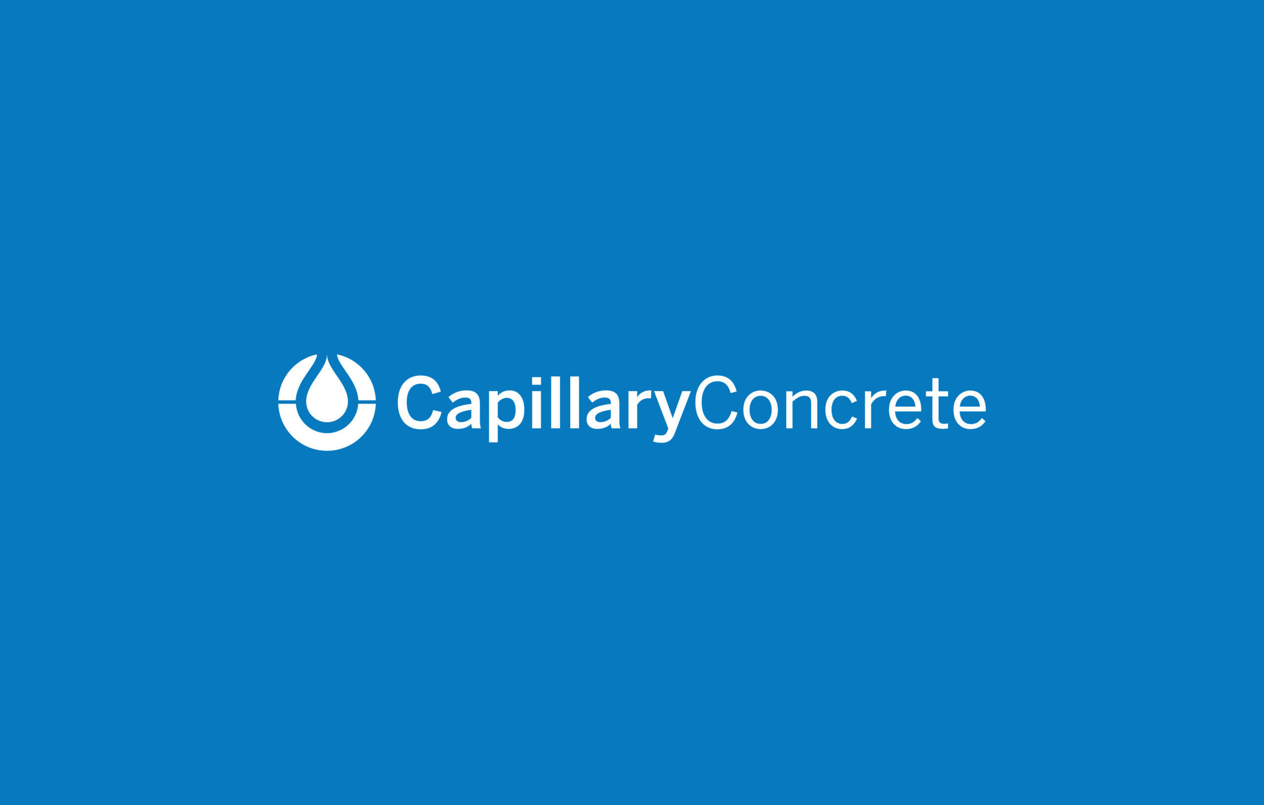 Capillary Concrete - Wizardly